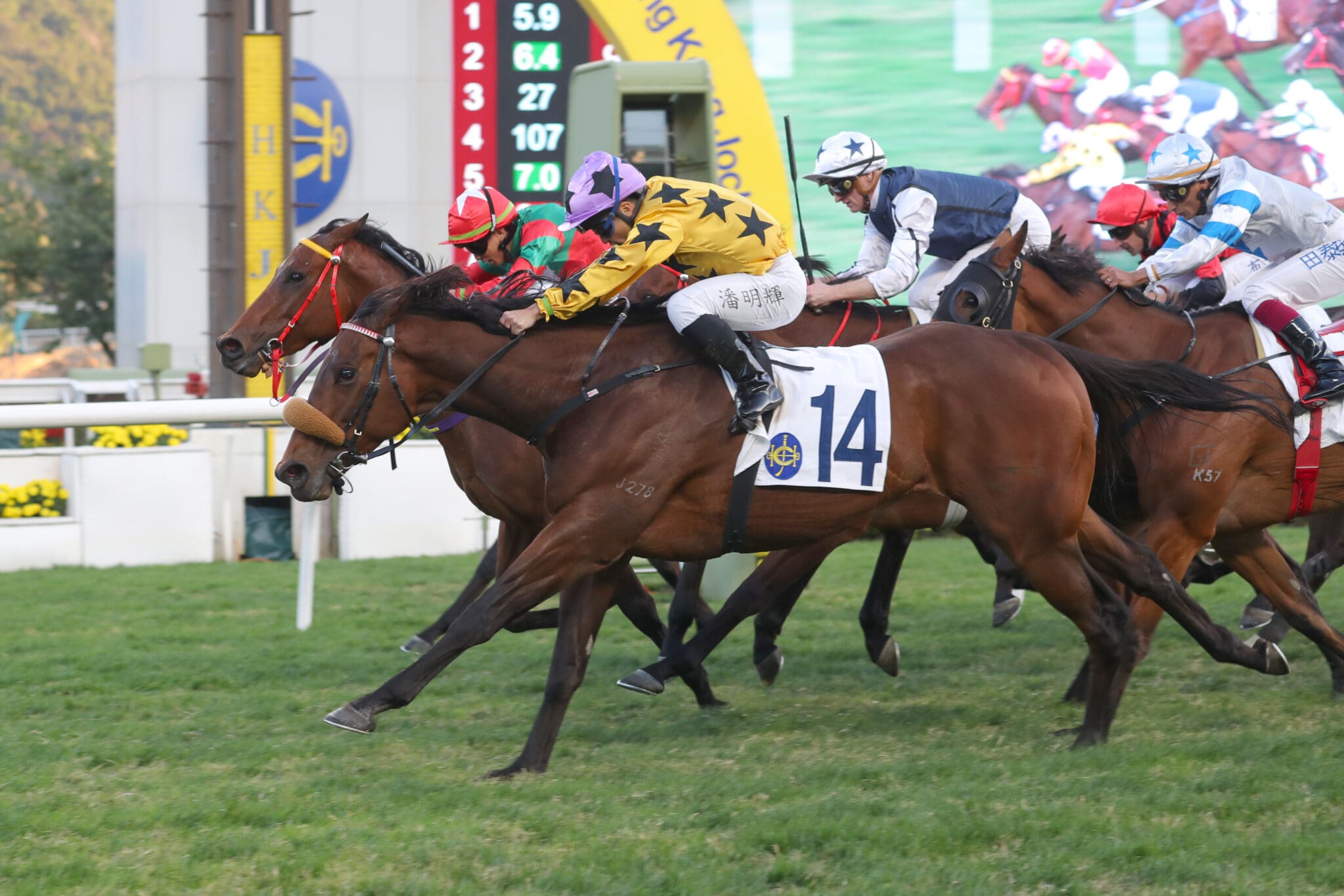 Ricky Yiu Holds Group 1 Aspirations For Dragon Joy