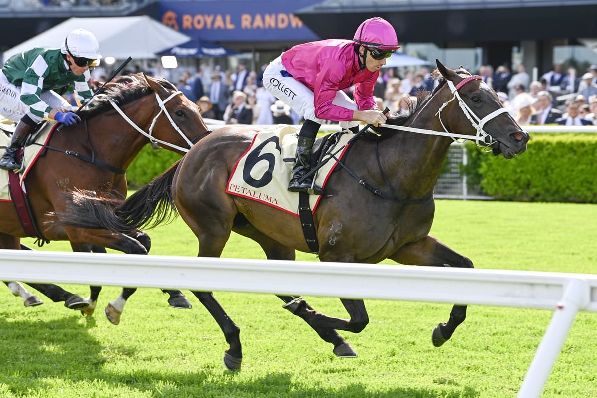 Queen Of The Turf 2025: Fangirl Heads Star-Studded Field