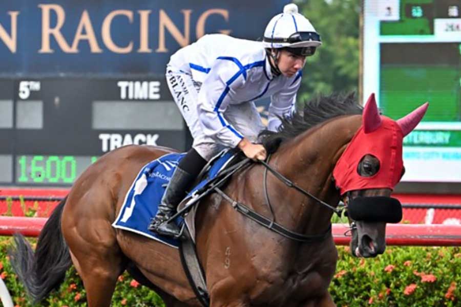 Hasseltoff Makes NT Debut Count With Pioneer Park Win