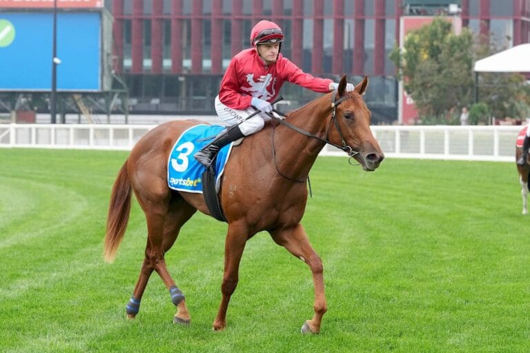 Palm Angel causes minor upset to claim Blue Diamond Prelude (F) – BOAY ...