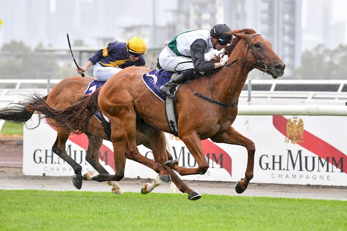 Rise At Dawn Books All-Star Mile Berth With Elms Handicap Win