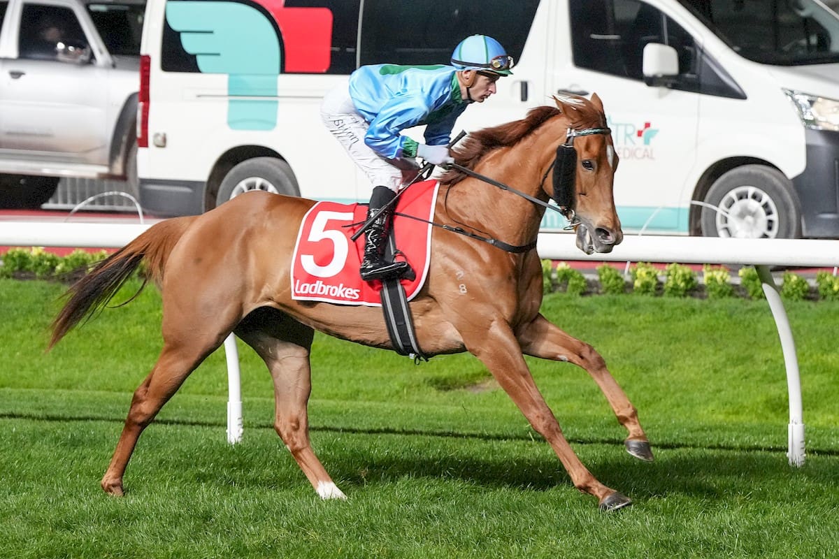 Alsephina Eyes Redemption in Coolmore Classic 2025