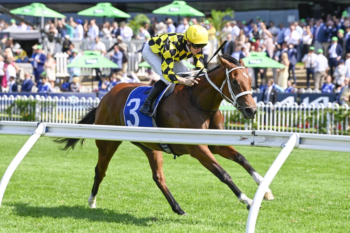 Autumn Glow Stars On Golden Slipper Day At Rosehill