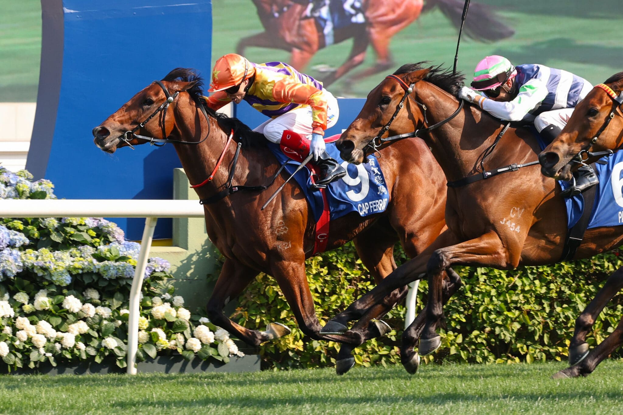 Craig Williams Guides Cap Ferrat To Hong Kong Derby Triumph