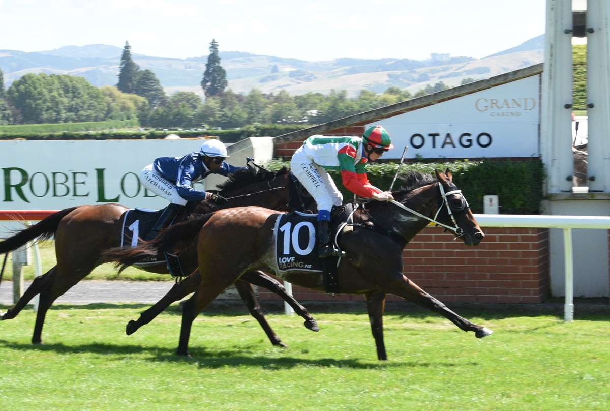 Cherryville Seeking Southern Alps Challenge Berth At Wingatui