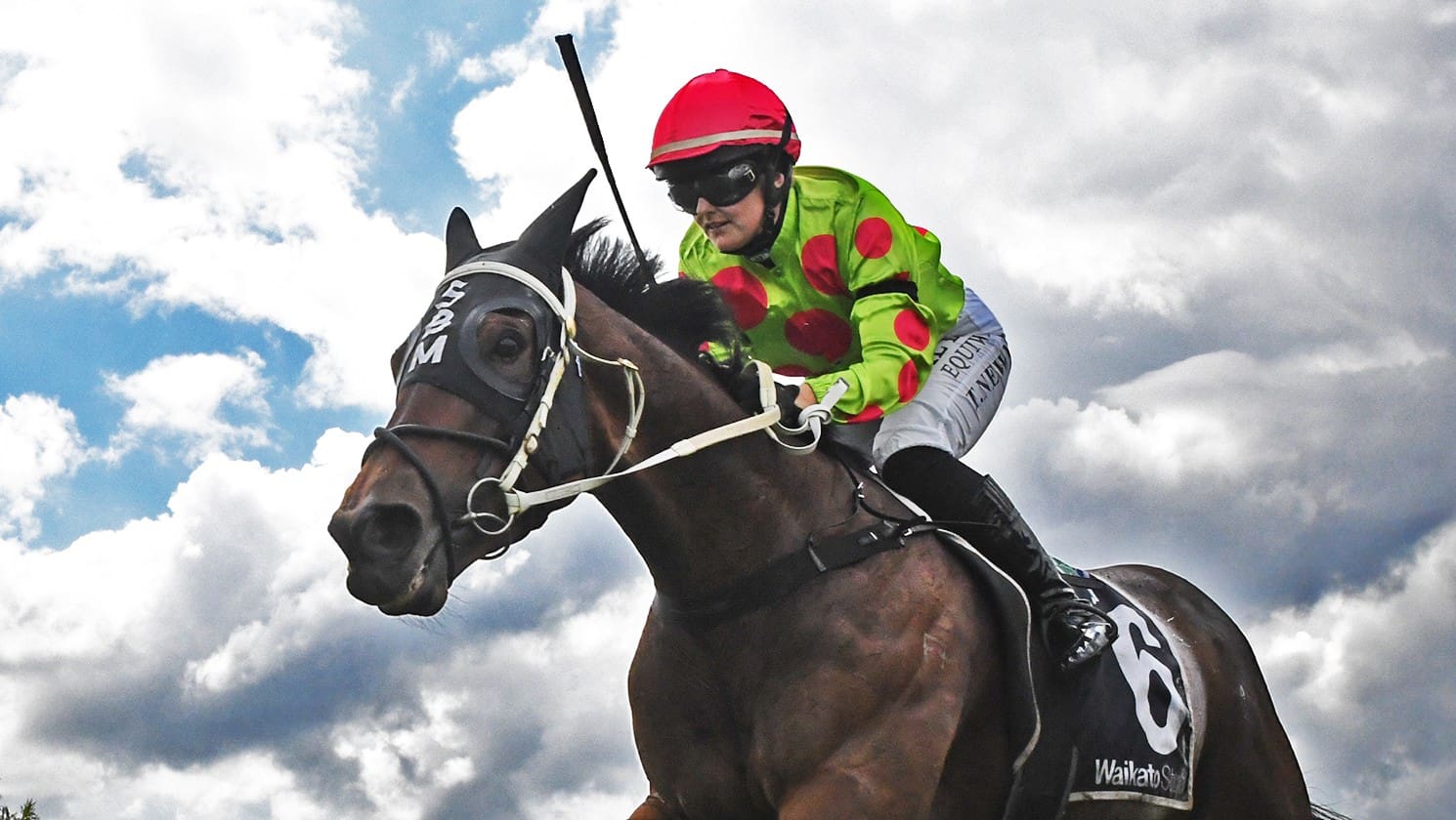 Doddle Proves Too Good For His Rivals In Matamata Victory