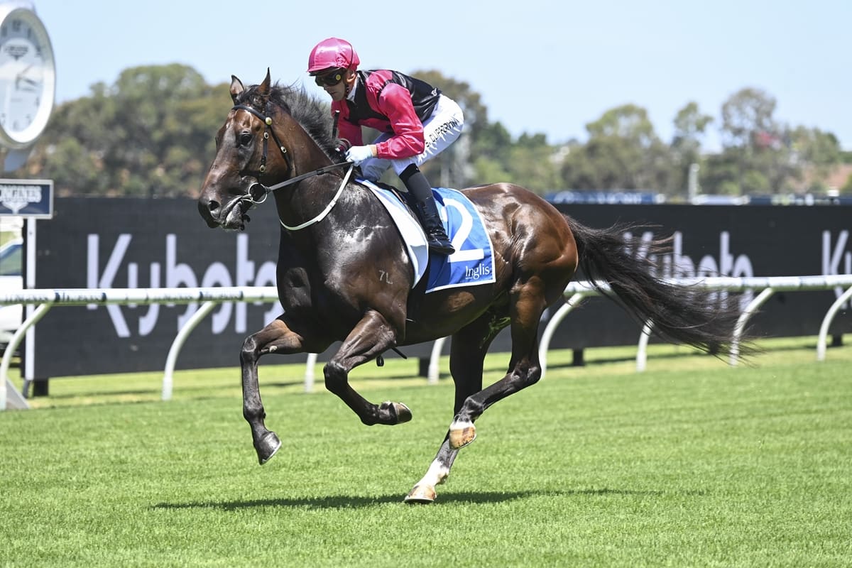 Gallant Star Dominates Coonamble Country Championships Qualifier