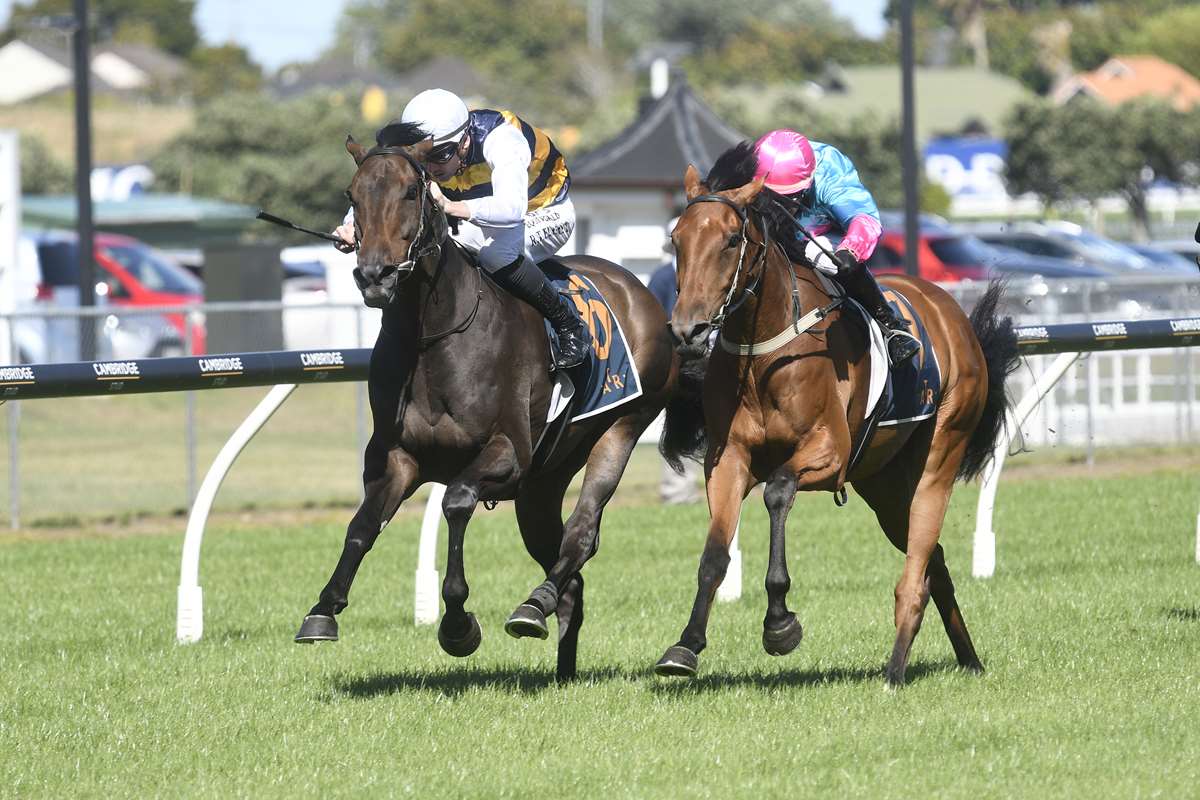 Golden Century Readying For Derby Test With Tulloch Stakes Run