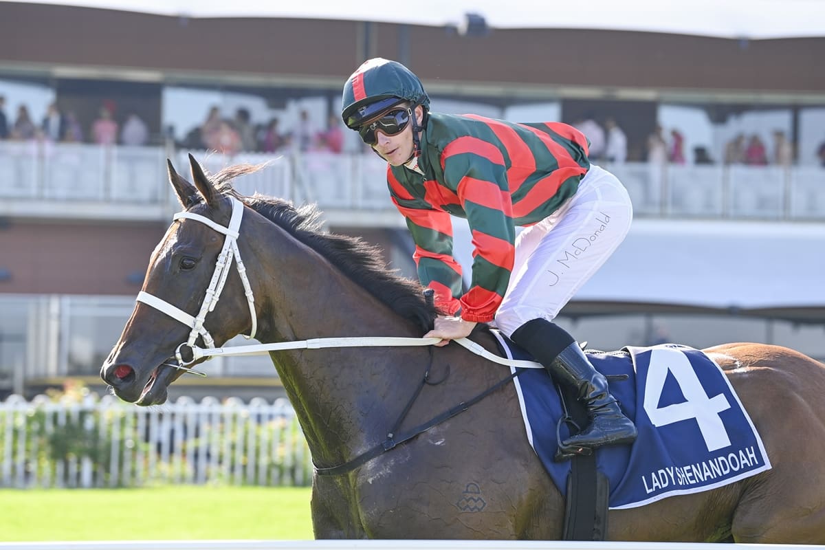 Lady Shenandoah Too Strong In Group 1 Coolmore Classic