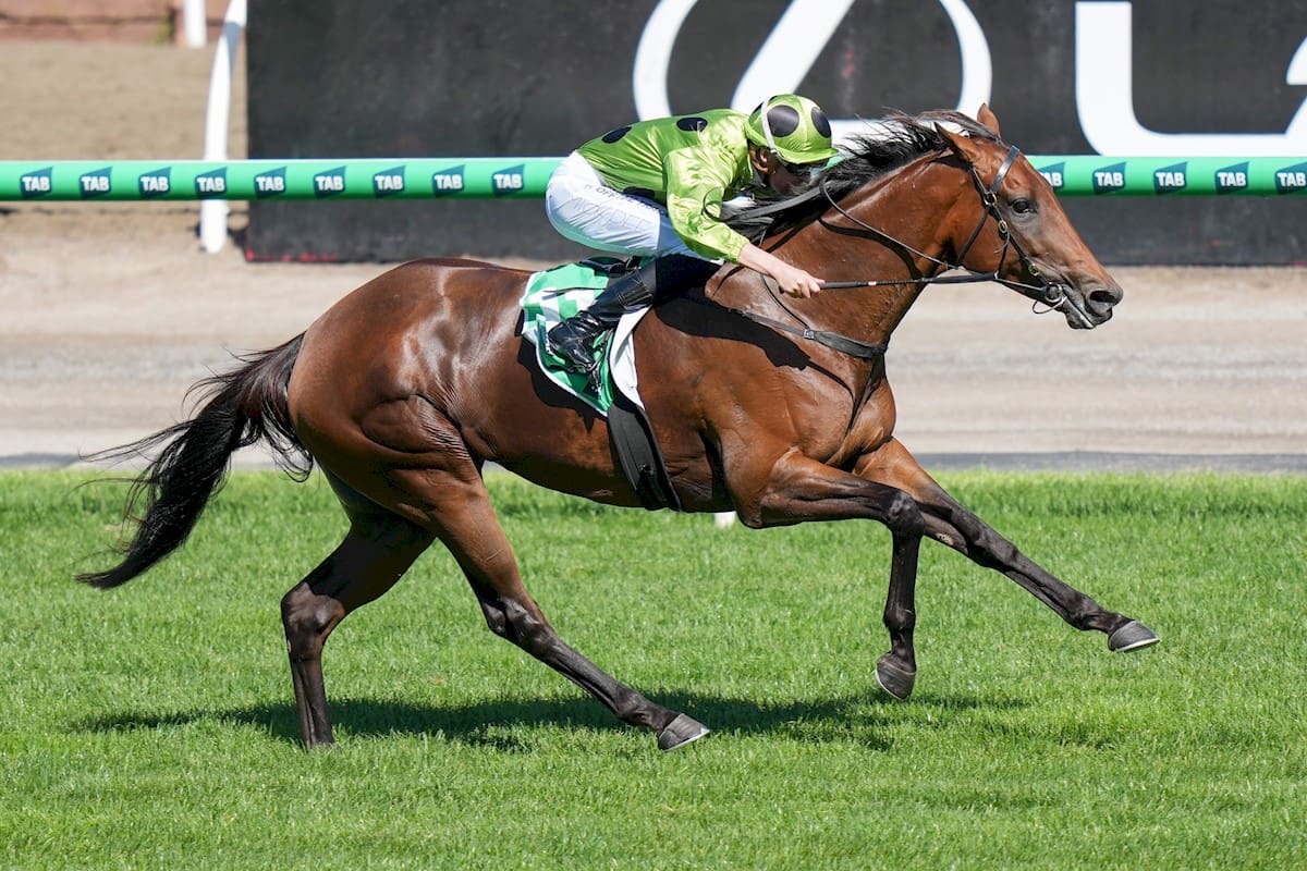 Marble Arch Proves Too Good For Blamey Stakes Rivals