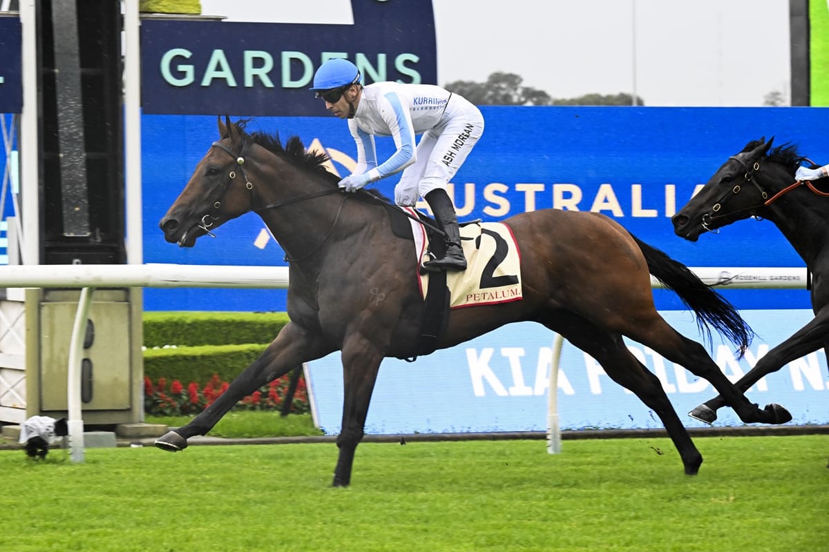 Private Harry Opens Bookmaker Favourite For Group 1 Galaxy