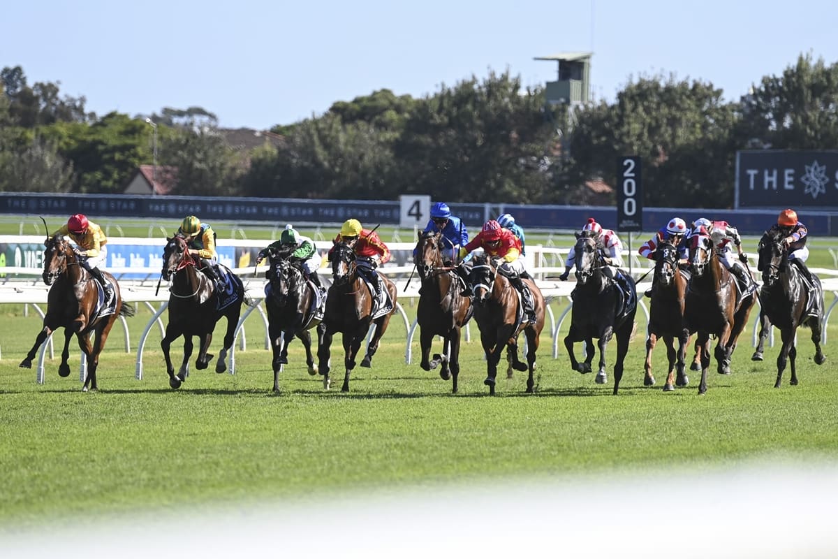 Randwick Free Horse Racing Replays & Full Results | March 8, 2025