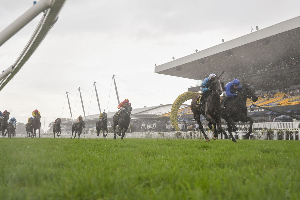 Rosehill Races Postponed; Group 1 Races To Be Rescheduled