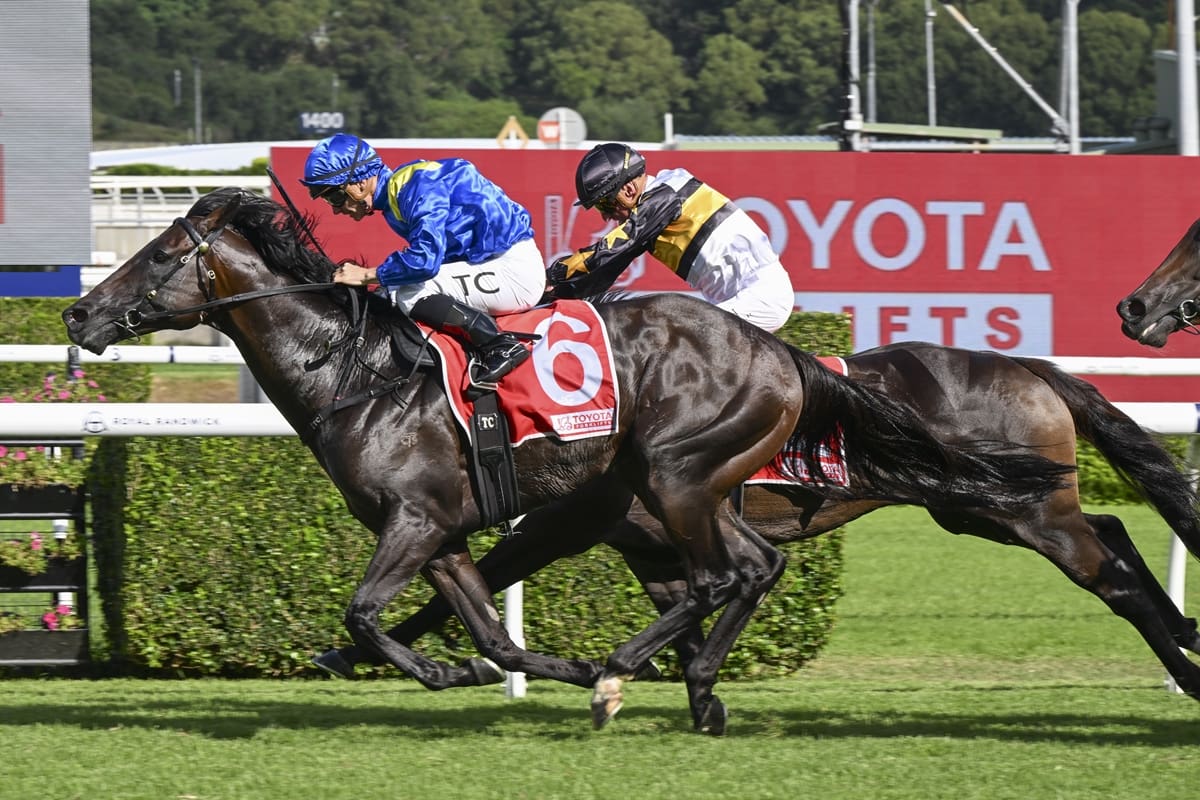 Royal Patronage Vlaims Group 1 Canterbury Stakes At Randwick