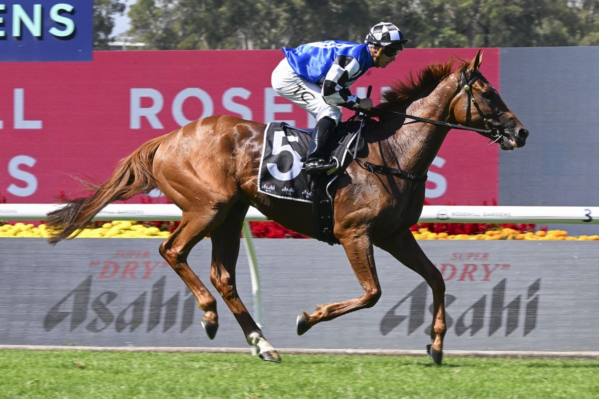 Vauban Heads To Queen Elizabeth Stakes Over Sydney Cup
