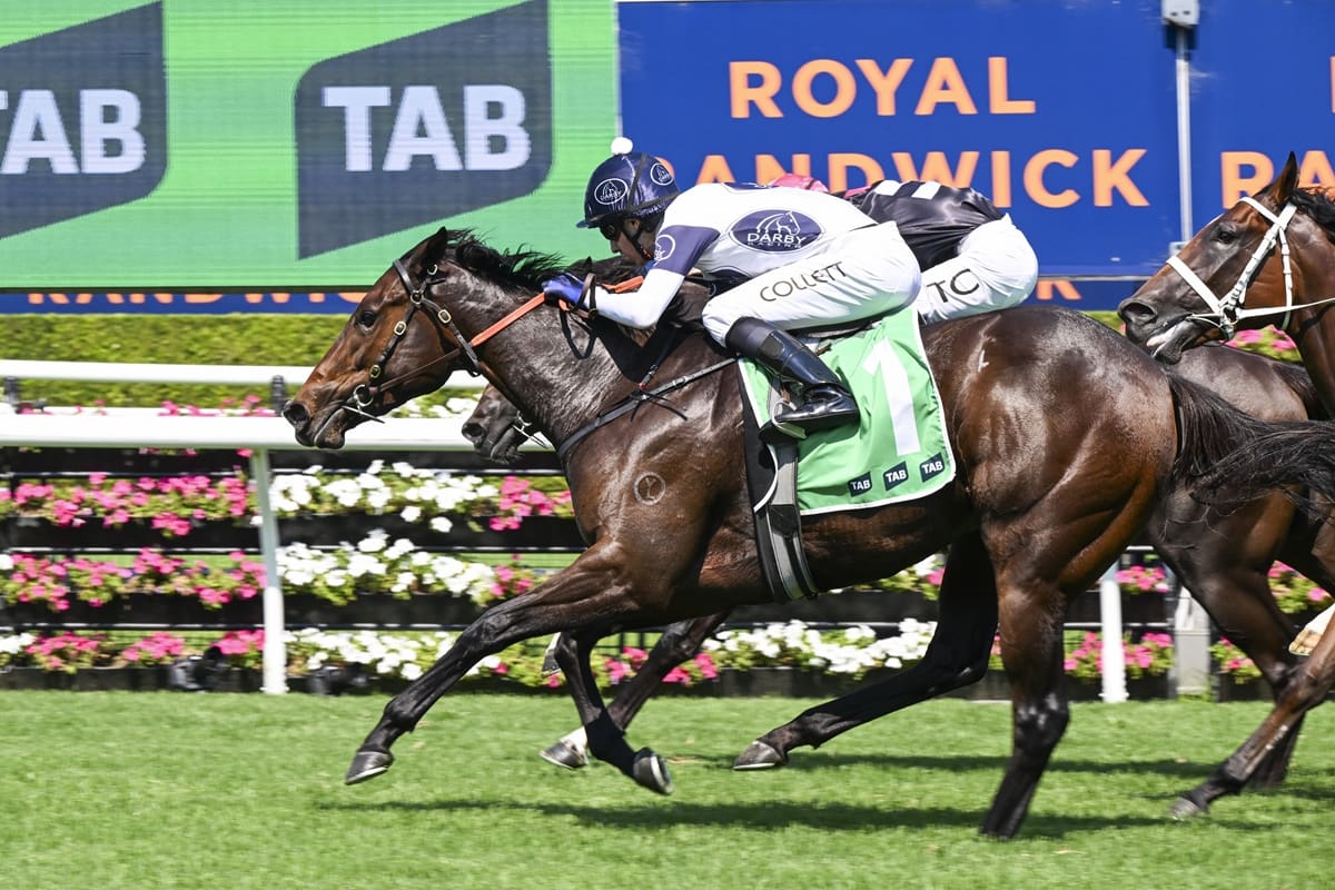 Within The Law Surges Into Golden Slipper Calculations