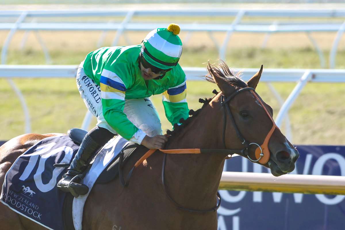 Andrew Hawkins Celebrates First Stakes Win as Bona Sforza Shines