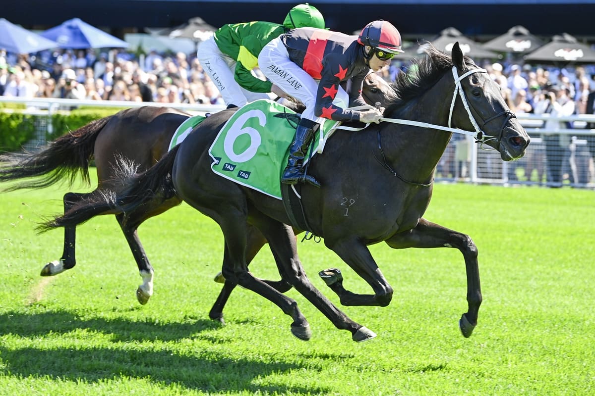 Belle Detelle Stakes Her Oaks Claim With Adrian Knox Triumph