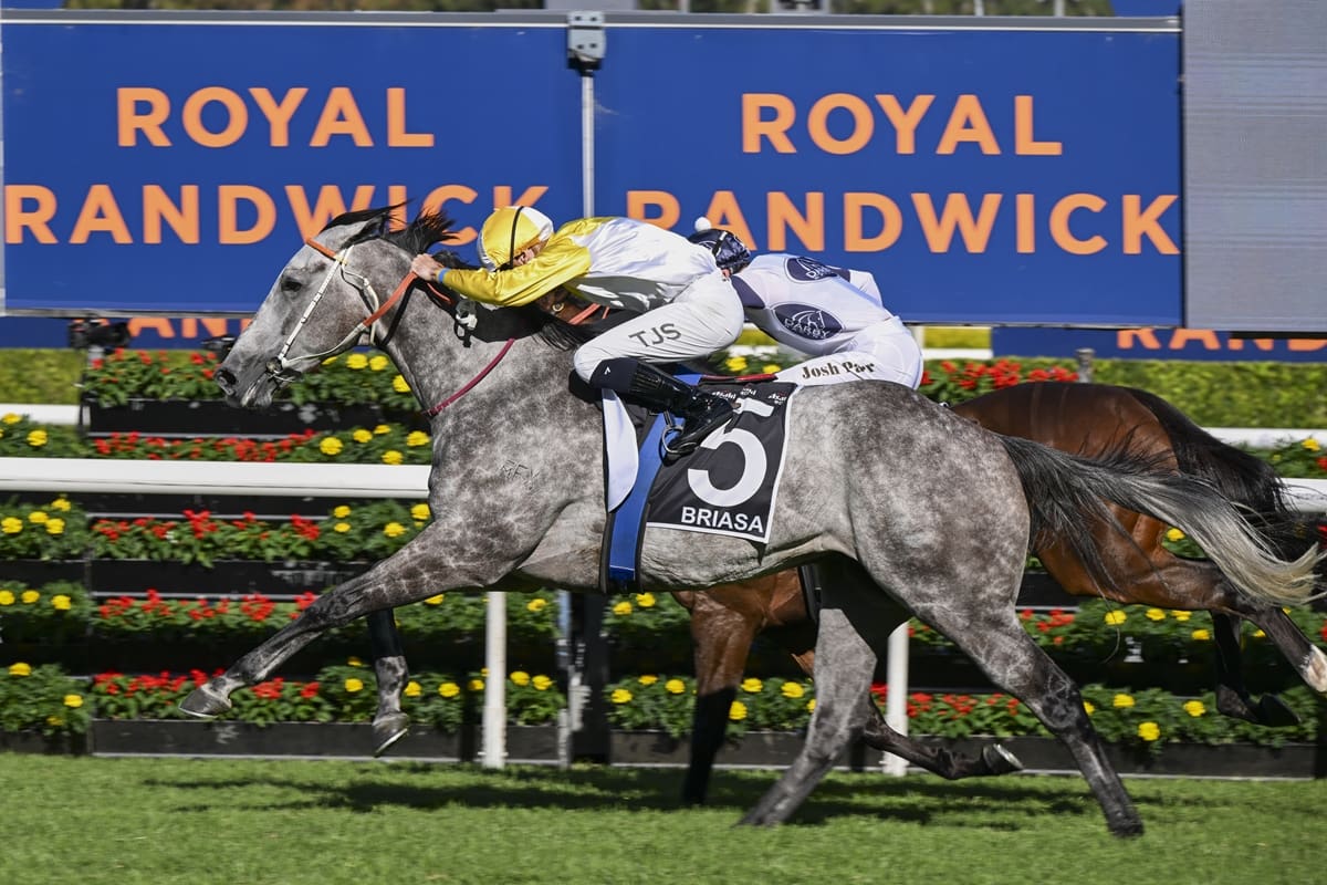 Briasa, Broadsiding Heads 2025 All-Aged Stakes Final Field
