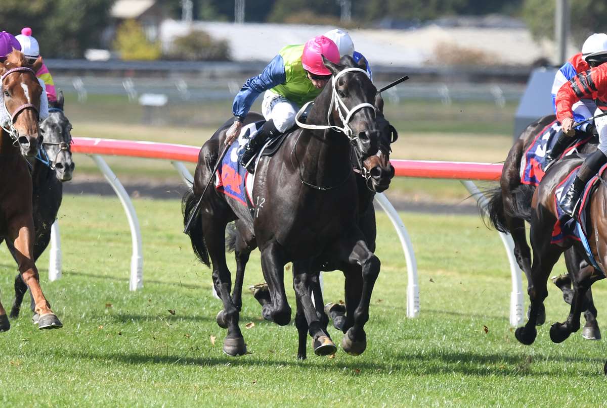 Croupier Books Brisbane Ticket After Gritty Trentham Win