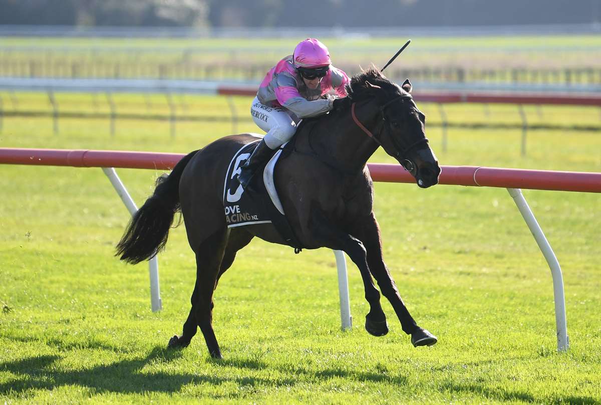 Stephen Nickalls Hopeful Chase Will Get To Listed Targets