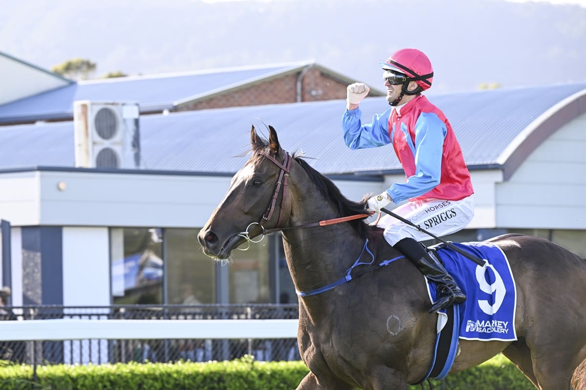 Headwall booked for The Quokka - BOAY Racing News - Bit Of A Yarn