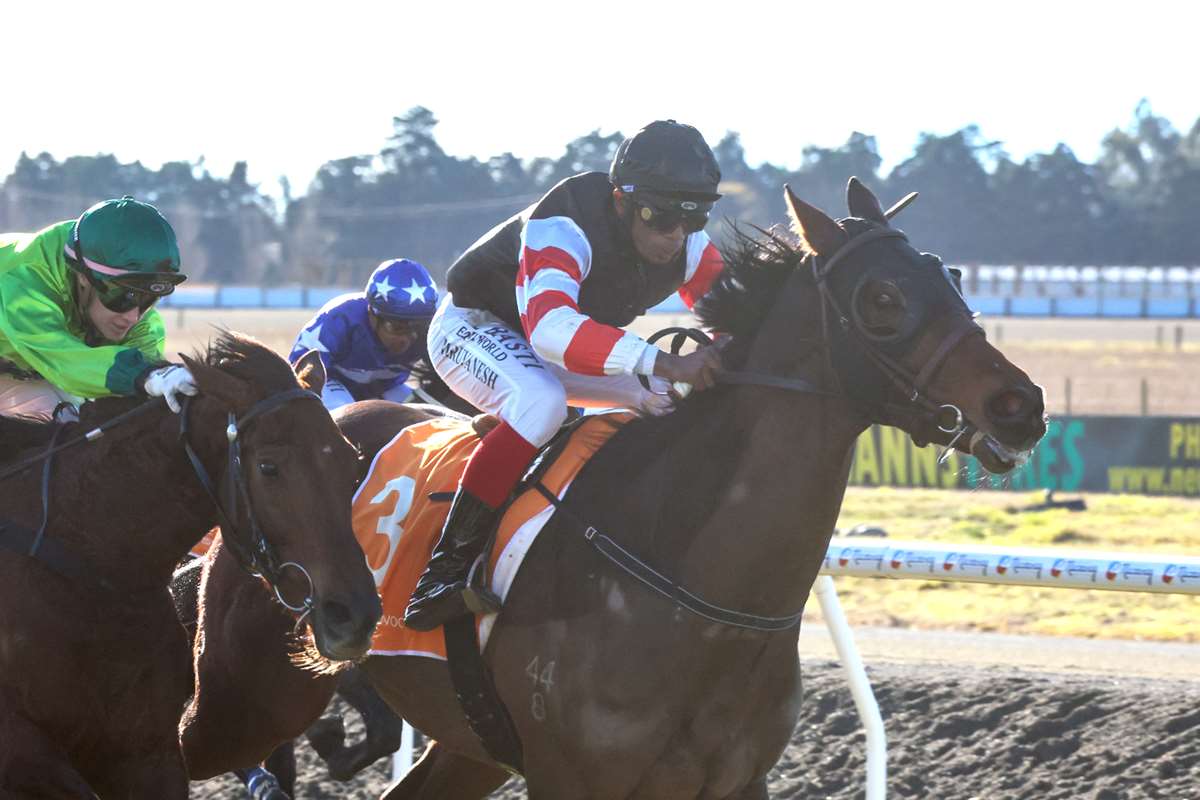 Theoden Out To Keep Impressive Record At Ascot Park