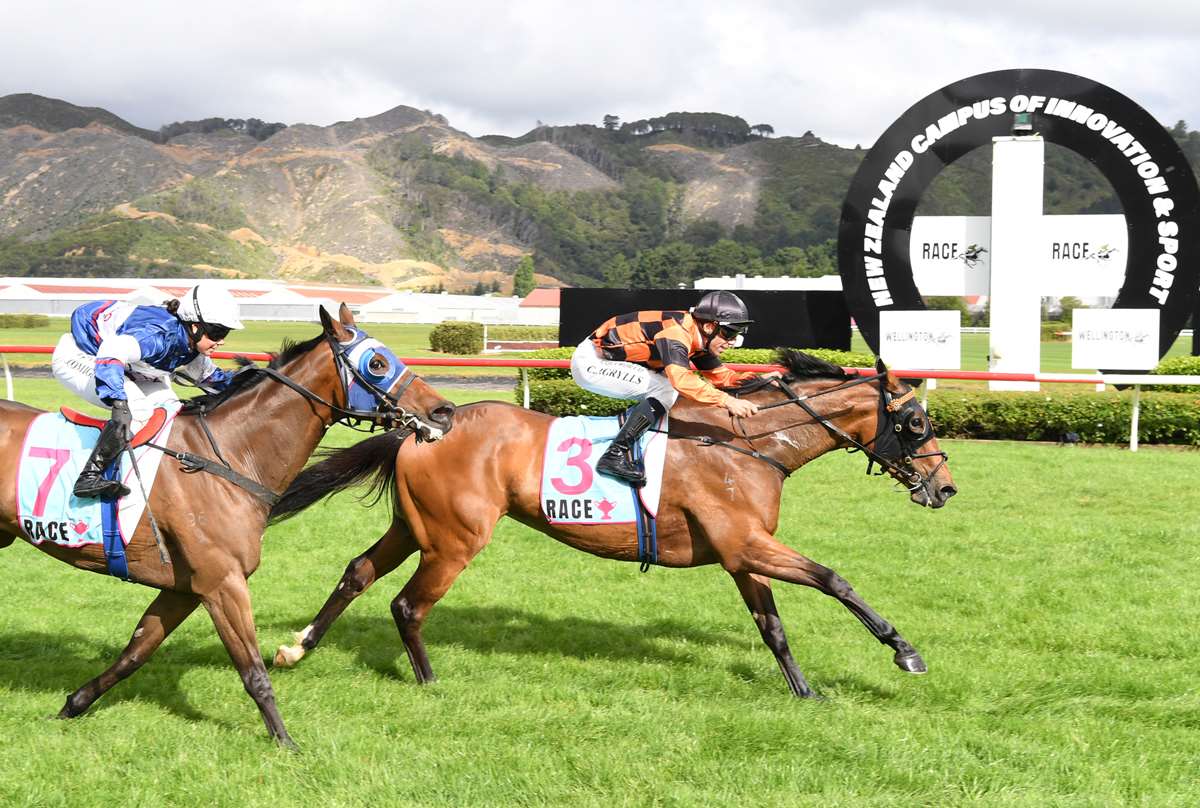 Bergerson Chasing Group 2 Travis Stakes Triumph With Town Cryer