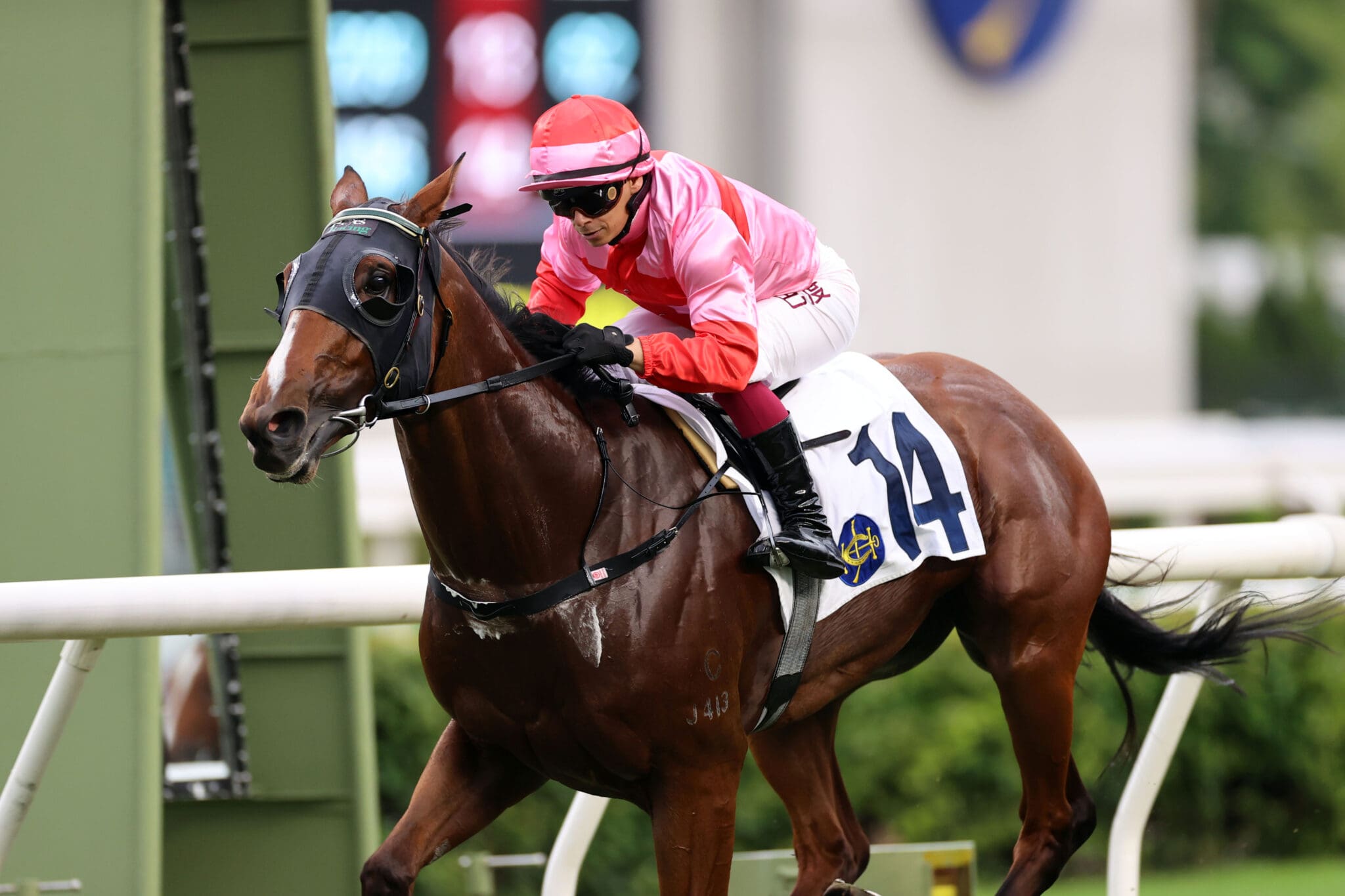 David Hayes Snares Sha Tin Treble, Draws Closer To John Size