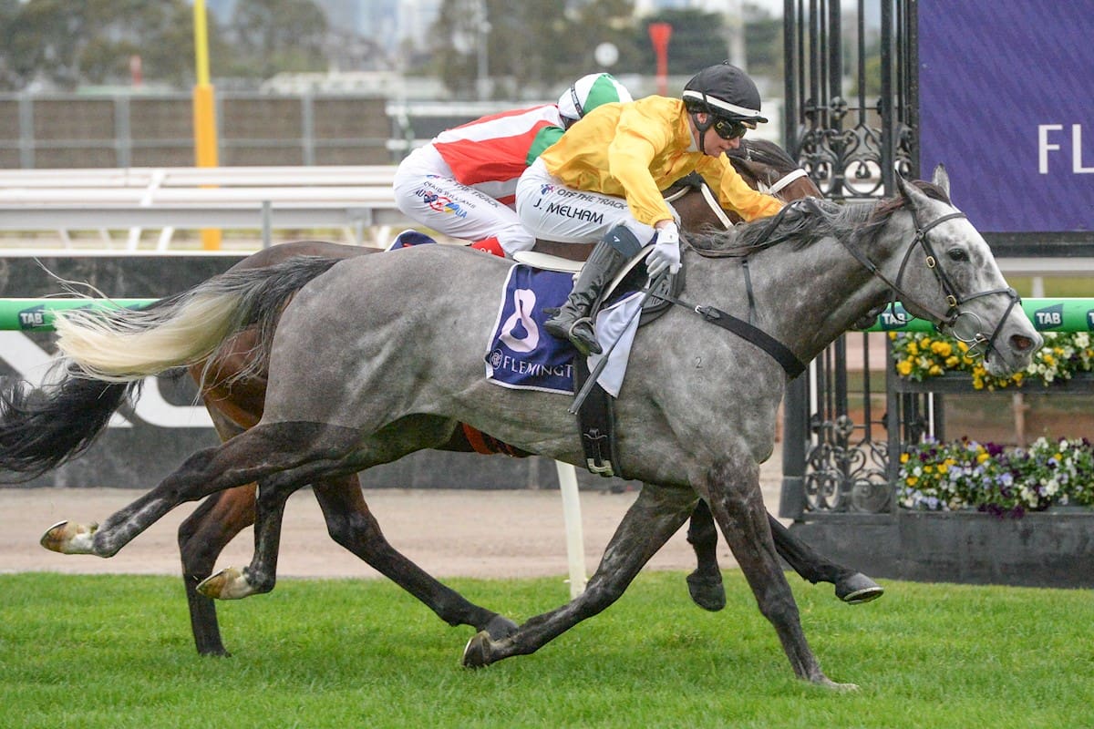 Mormona Wins Deane Lester Flemington Cup Under Jamie Melham