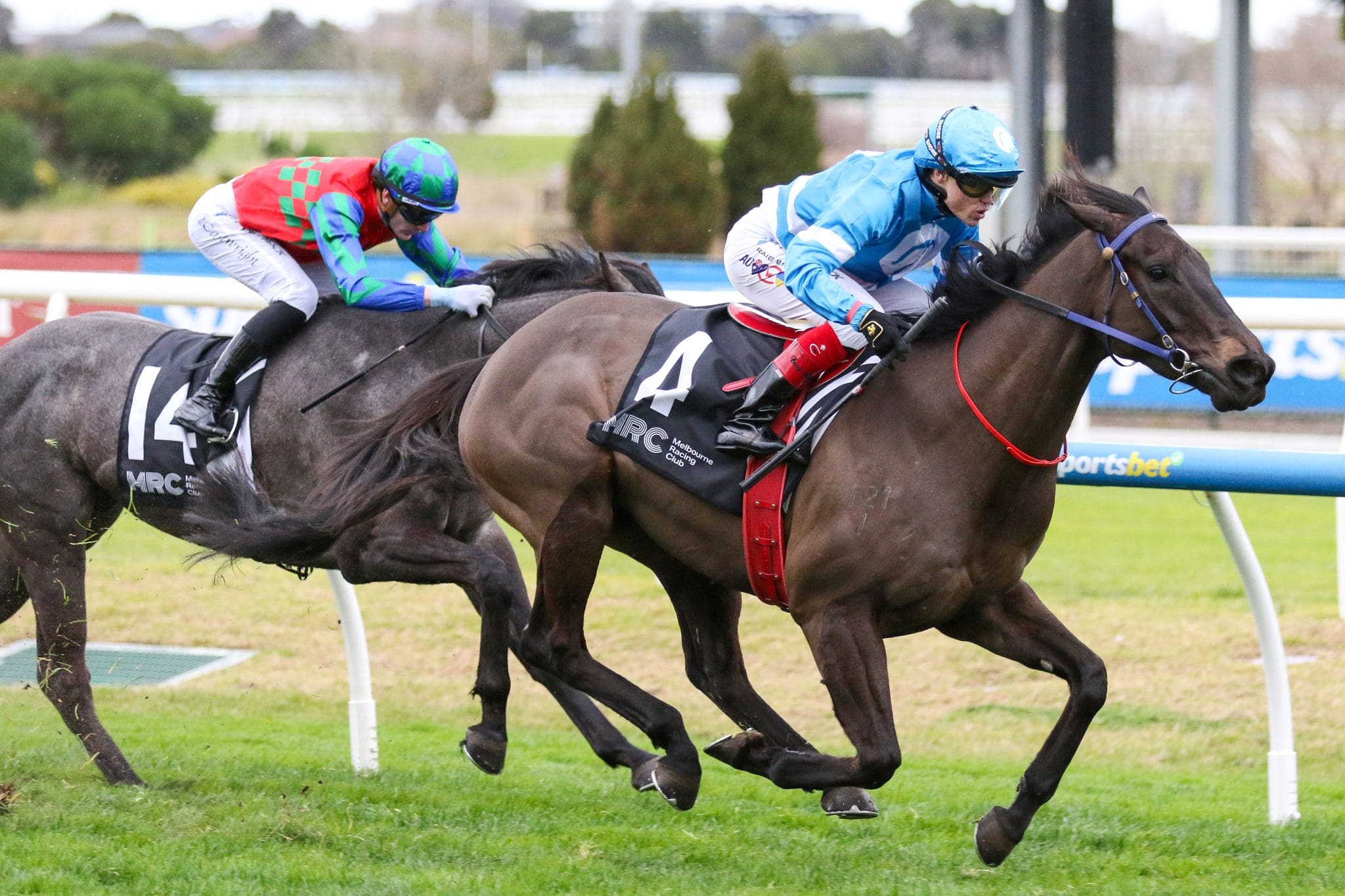 Stylish Secret Impresses In Caulfield Staying Triumph