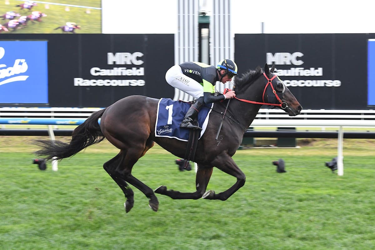 Private Eye Makes All In Group 2 P.B. Lawrence Stakes